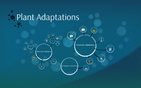 Plant Adaptations by on Prezi