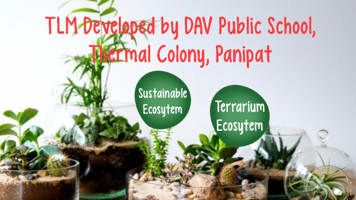 FinalOur TLM by Ruchi Chawla on Prezi