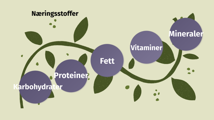 næringstoffer by Thea m on Prezi