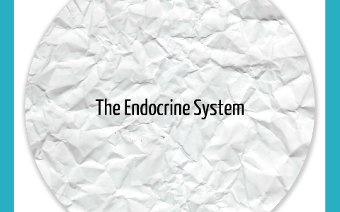 Presentation on the Endocrine System by Bruce A on Prezi