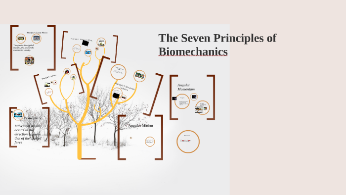 The Seven Principles of Biomechanics by Lindsay Smockum on Prezi