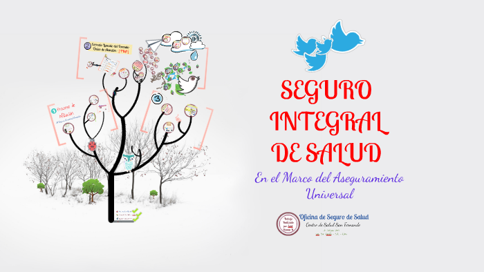 Seguro Integral de Salud by Zaid Vicente Herrera on Prezi