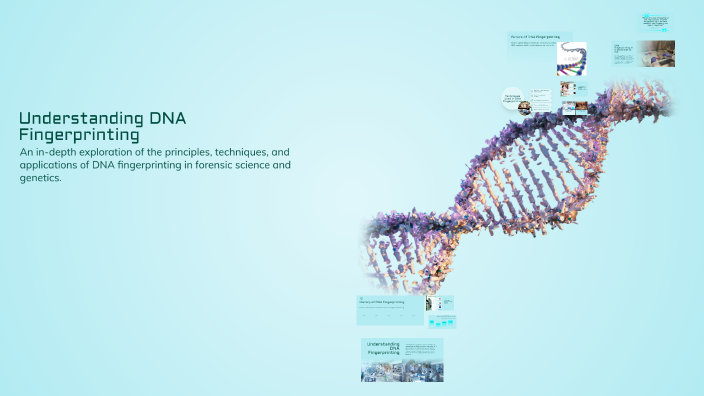 Understanding DNA Fingerprinting by Ritigha Shrri on Prezi