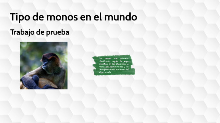 MONOS - PRÁCTICA by MARCELA ASUNCION on Prezi