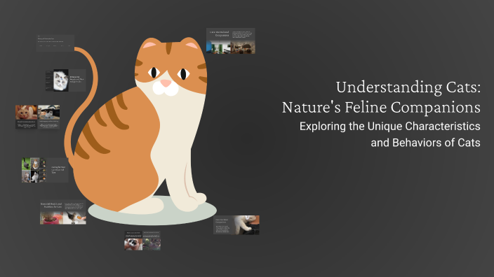 Understanding Cats: Nature's Feline Companions by Sabīne Karkane on Prezi