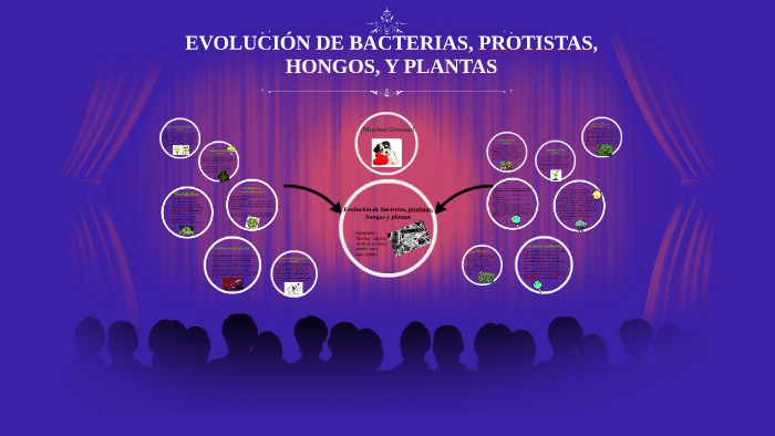 EVOLUCION DE BACTERIAS by Windson Alejandro Carreno Gil