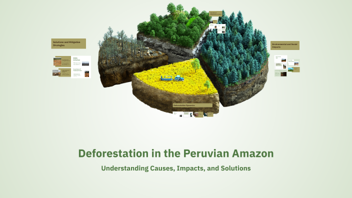 Deforestation in the Peruvian Amazon by Reynaldo Javier Minaya Vela on ...