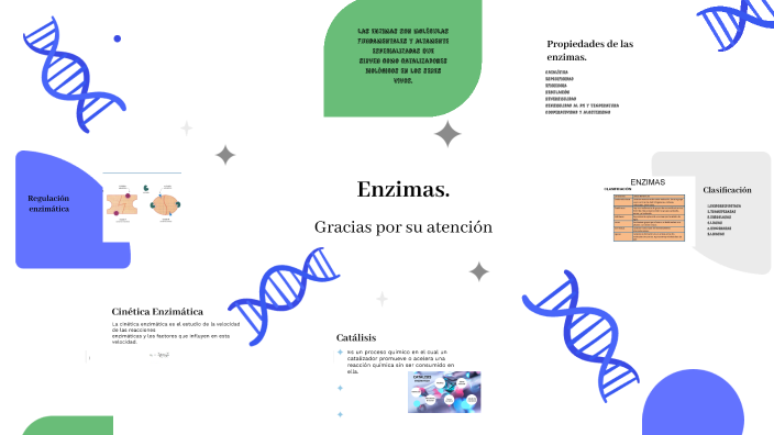 Bioquimica-Enzima by Andrea Folofo on Prezi