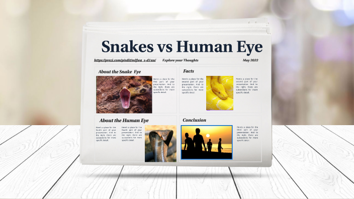 Snake vs Human Eye by Tristyn Blue on Prezi
