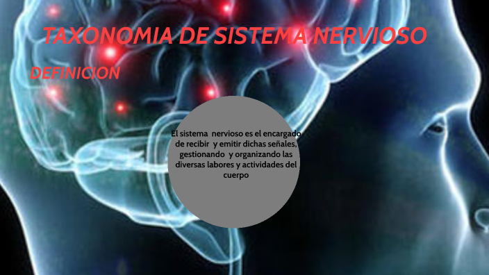 TAXONOMIA DEL SISTEMA NERVIOSO by Sandra Coello on Prezi
