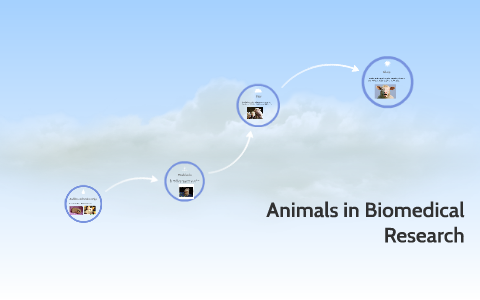 Animals in Biomedical Research by Noemi Sanchez on Prezi
