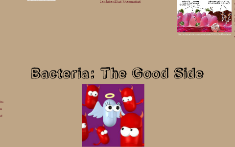 Bacteria: The Good Side by Tabitha Smith on Prezi