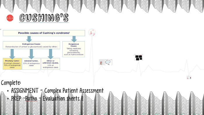Complex Patient Assessment by Julianne Wright on Prezi