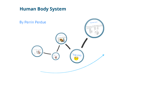 Human Body System by Perrin Perdue on Prezi