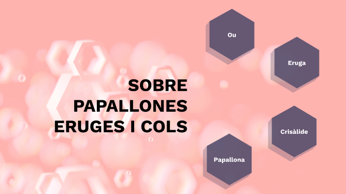 PAPALLONA DE LA COL by iker masero barea on Prezi