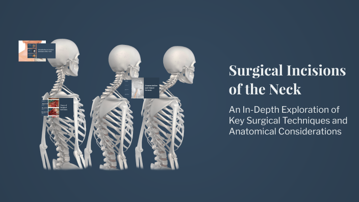 Surgical Incisions of the Neck by Taha Heydarie on Prezi