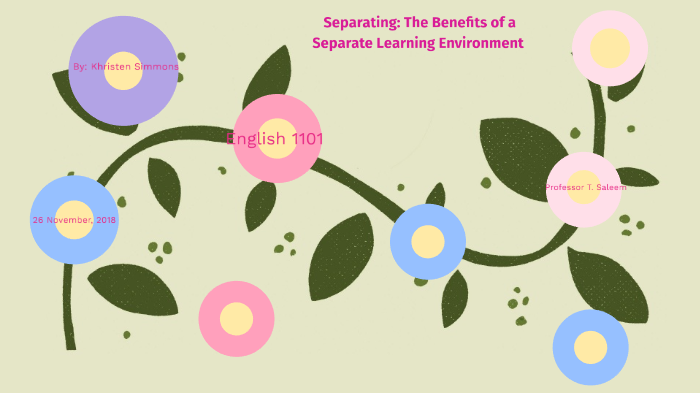 Separating: The Benefits of a Separate Learning Environment by khristen ...