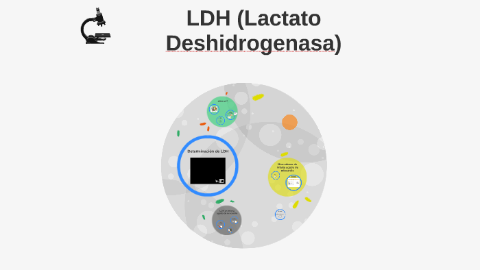 LDH (Lactato Deshidrogenasa) by Rosa Flores on Prezi