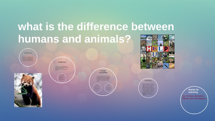 what is the difference between humans and animals? by kristen freeman ...