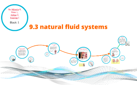 9.3 natural fluid systems by fred freddy on Prezi