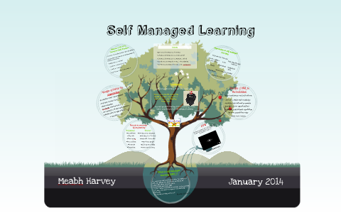 Self Managed Learning by Meabh Harvey on Prezi