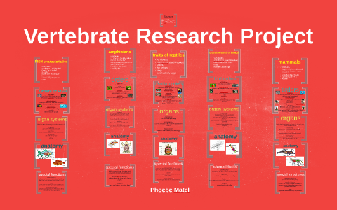Vertebrate Research Project by phoebe matel on Prezi