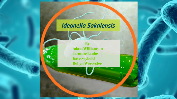Ideonella Sakaiensis by Adam Williamson on Prezi