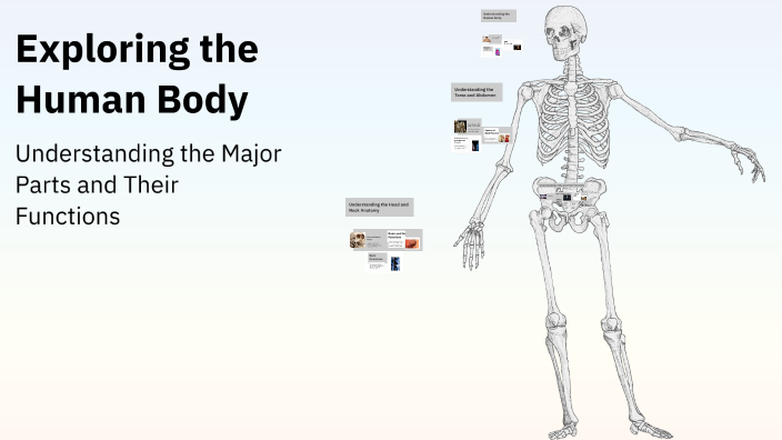 Exploring the Human Body by Biboy on Prezi