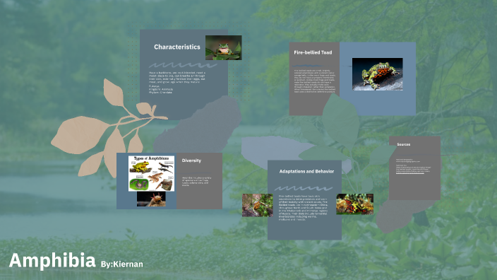 Amphibia by Kiernan Webb on Prezi