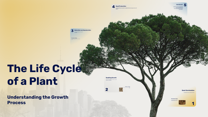 Plant Life Cycle by Anwesh Bikram Shah on Prezi