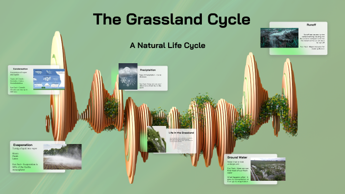 Grassland Cycle by Lori Prauner on Prezi