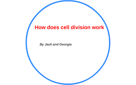 How does cell division work by Jack Whitmore on Prezi