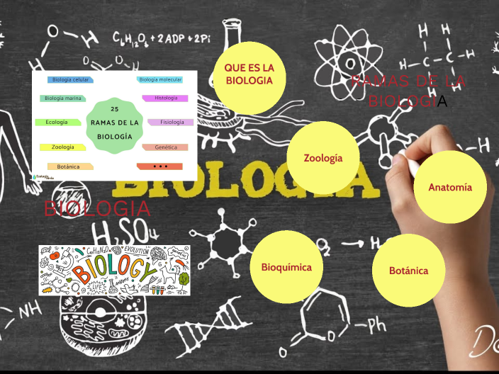 RAMAS DE LA BIOLOGIA by nickolas martinez polo on Prezi