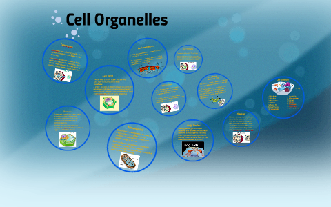Cell Organelles by Mackenzie Snyder on Prezi