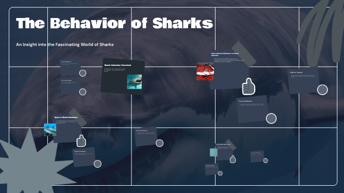 The Behavior of Sharks by Travis Thys on Prezi