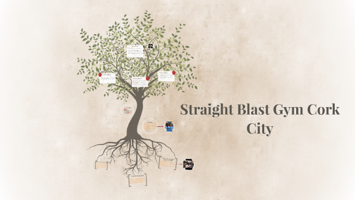 Work Placement by Liam Singleton