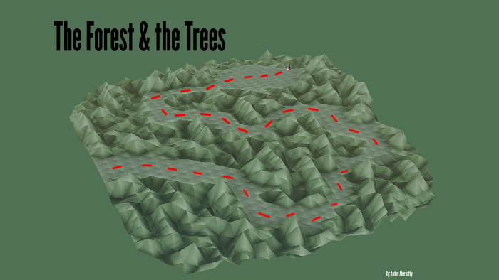 The Forest and the Trees by Amber Abernathy on Prezi