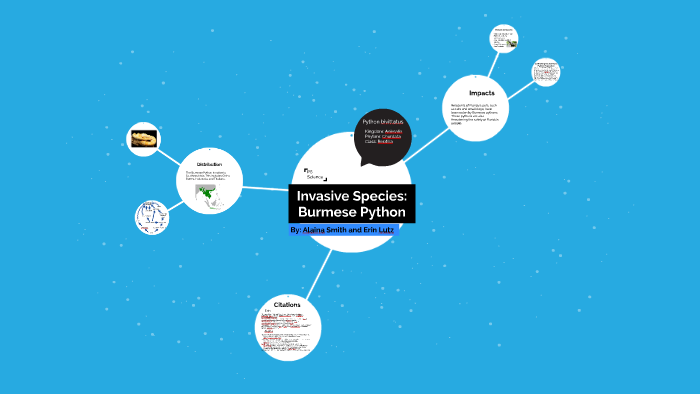 Invasive Species: Burmese Python by Alaina Smith on Prezi