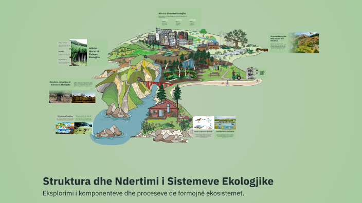 Struktura dhe Ndertimi i Sistemeve Ekologjike by Blerta Rexhepi on Prezi