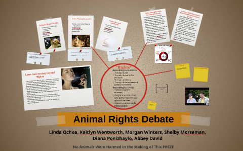 Animal Rights Debate by Diana Ponizhaylo on Prezi