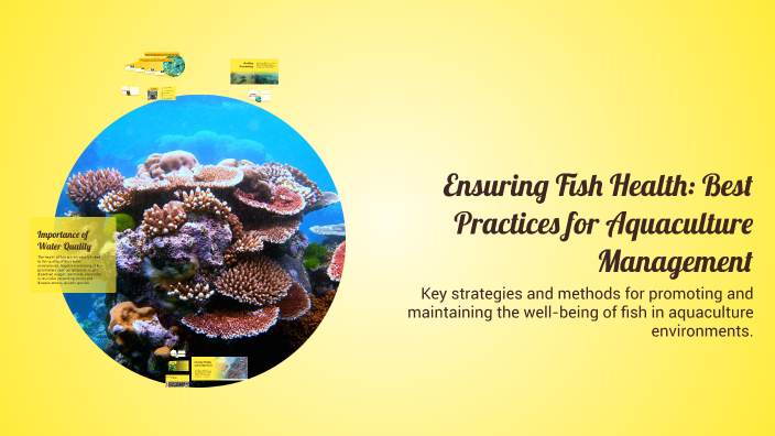 Ensuring Fish Health: Best Practices for Aquaculture Management by Mark ...