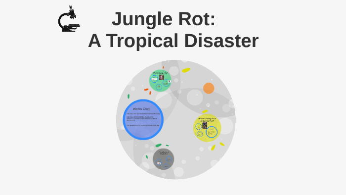 What is Jungle Rot? by Joe Giglio on Prezi