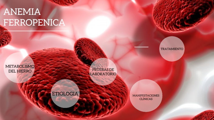 Anemia ferropénica by Mireya Berenise on Prezi