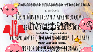 EL CEREBRO Y LA CONDUCTA REFLEJA by Elizabeth Narvaez on Prezi Design