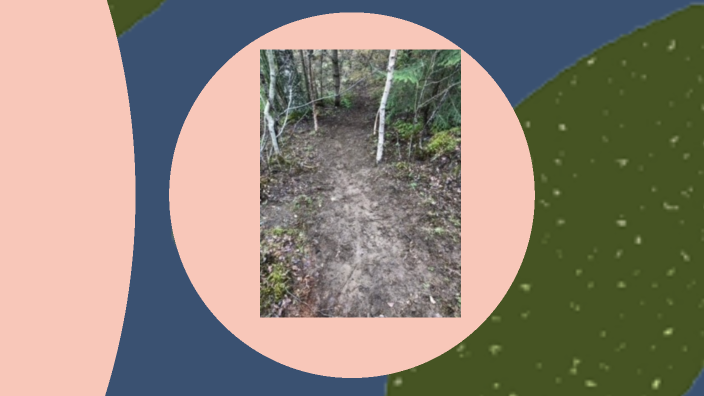 Analyse av barnehagens fysiske og psykososiale miljø by Annette ...