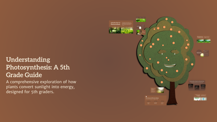 Understanding Photosynthesis: A 5th Grade Guide by Chris Lonergan on Prezi