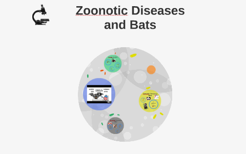 Zoonotic Diseases and Bats by Audrey Thomas on Prezi