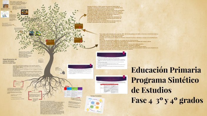 Educación Primaria Programa Sintético de Estudios Fase 4 3º y 4º grados ...