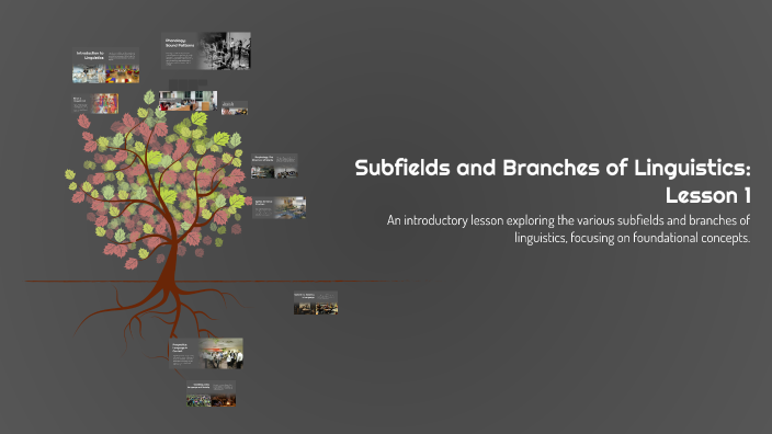 Subfields and Branches of Linguistics: Lesson 1 by Kim Pee Tachado on Prezi