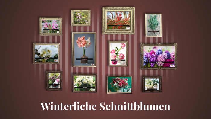 Winterliche Schnittblumen by Laura Oppermann on Prezi